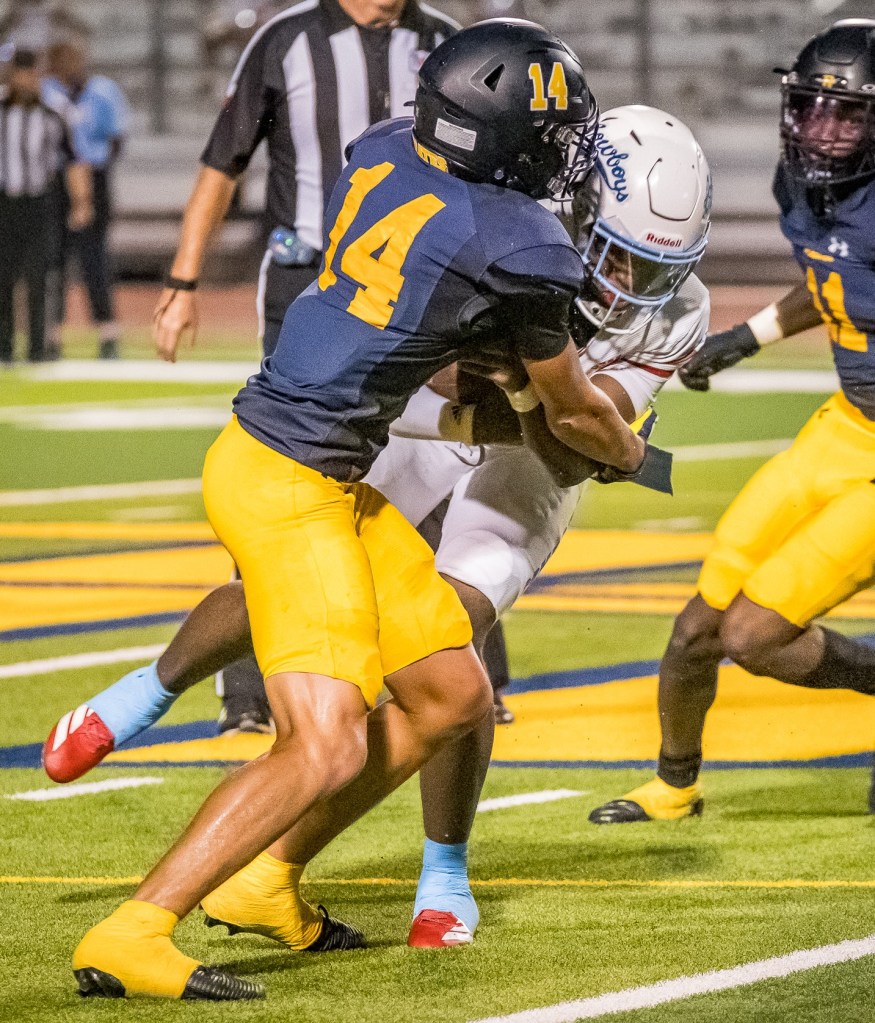 PLAYMAKERS: Johnson, Wofford, Henderson earn top football honors ...