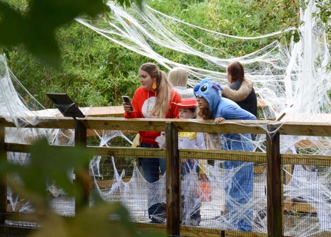 Go treasure hunting, check out a fall festival and more this weekend in ...